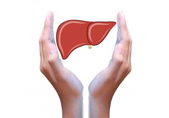 Kako pozdraviti zamaščena jetra - VegiLandija